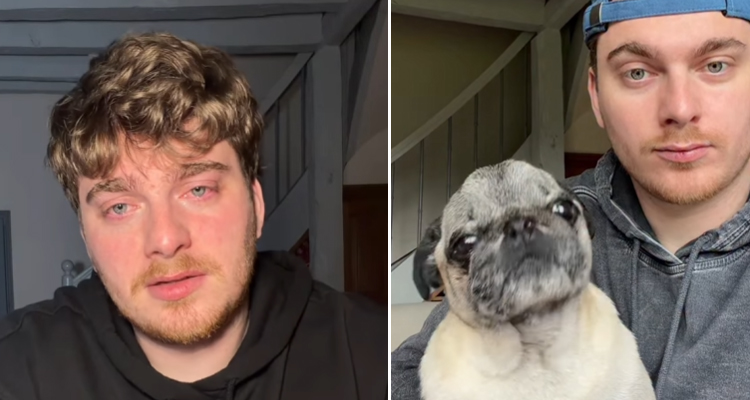 Faux enlèvement du chien Albert : l’influenceur Cyril Schreiner avoue ...